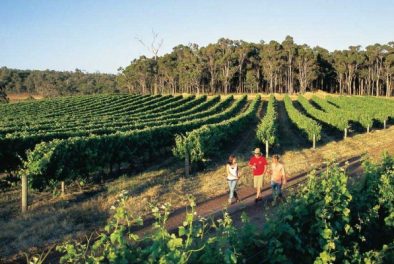 The Must Visit Australian Wine Regions – Redspot Car Rentals