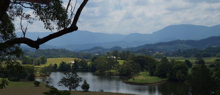 Tweed Valley Road Trip – Part 1 | Redspot Car Rentals – Car Rentals